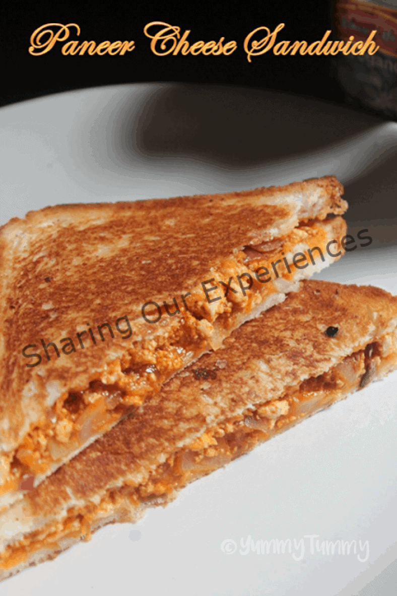 Paneer Cheese Sandwich Recipe - Sharing Our Experiences