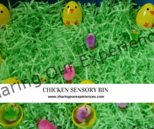 Chicken Sensory Bin -Learning Activity for Kids - Sharing Our Experiences