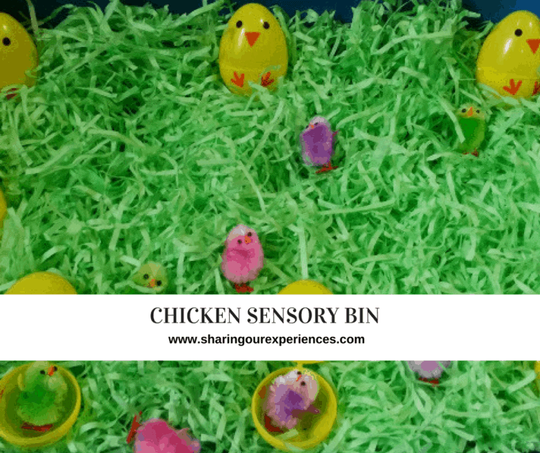 Chicken Sensory Bin -Learning Activity for Kids - Sharing Our Experiences
