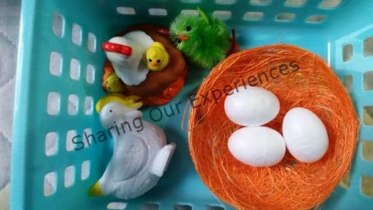 Chicken Sensory Bin -Learning Activity for Kids - Sharing Our Experiences