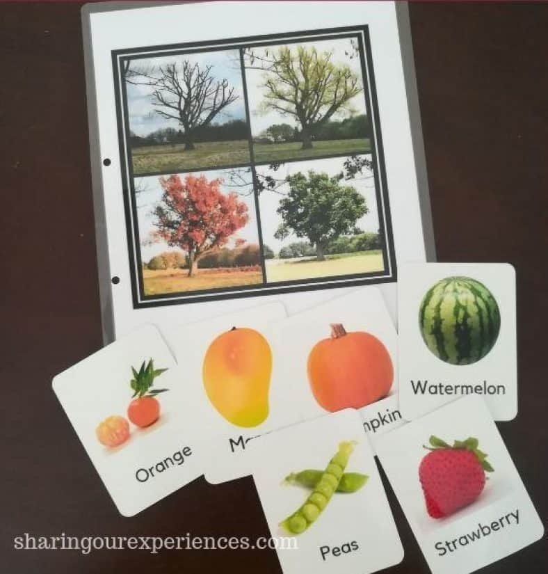 Quick and Easy Flashcards Activities with toddlers - Fun ways to use ...