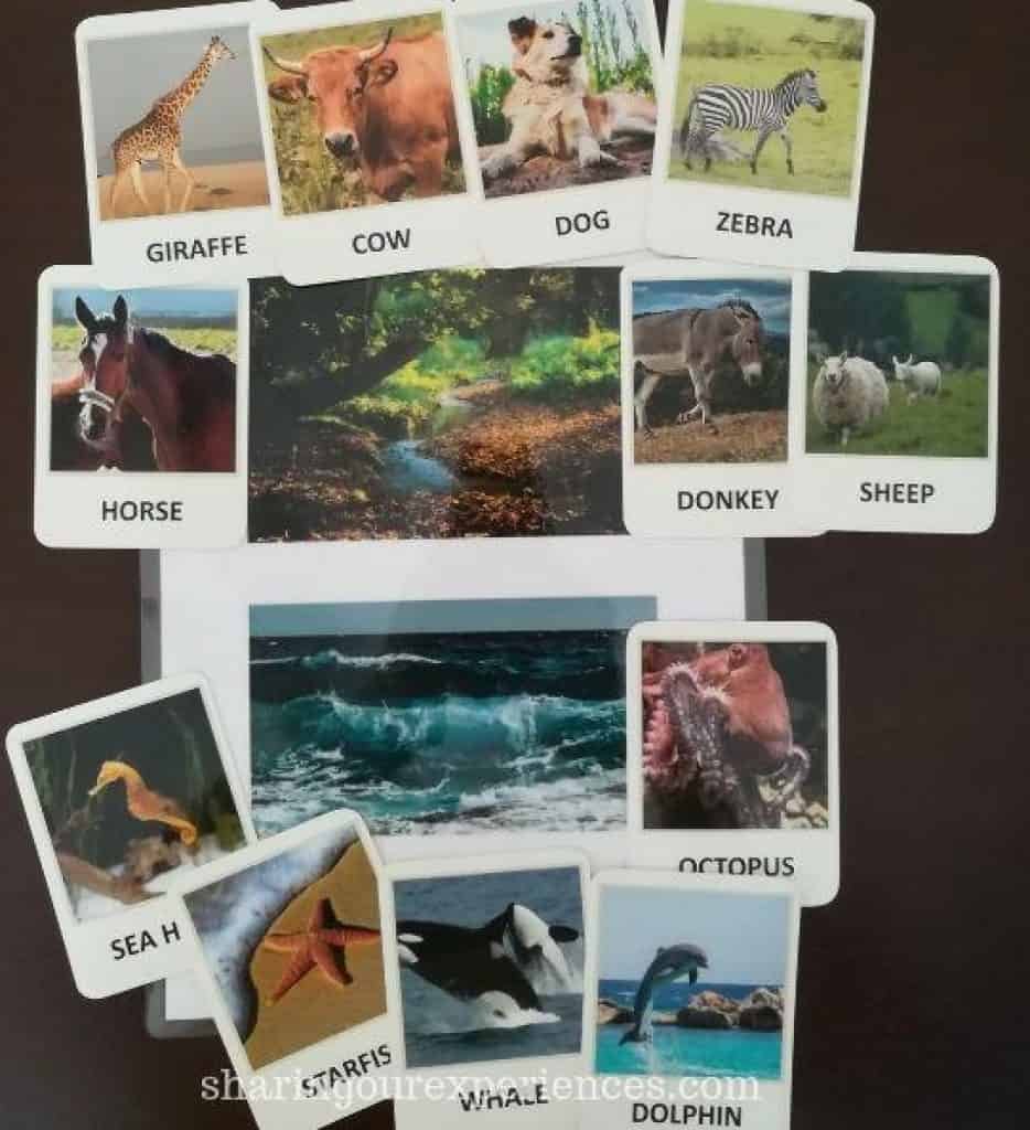 Quick and Easy Flashcards Activities with toddlers - Fun ways to use ...