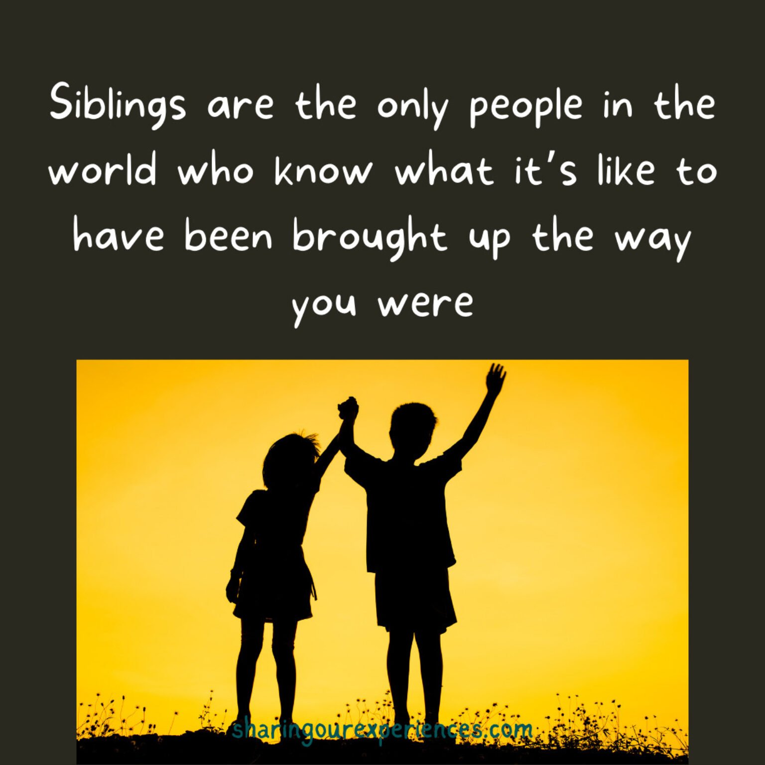 Best Brother Poems That Reflect Love And Care - Sharing Our Experiences