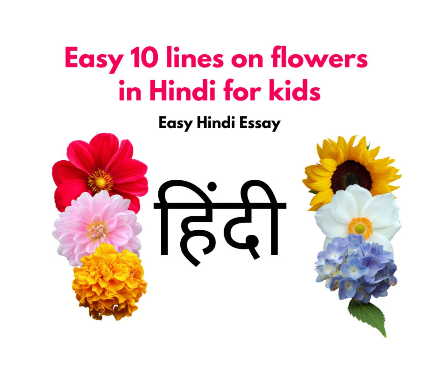 Easy 10 lines on flowers in Hindi for kids - Sharing Our Experiences