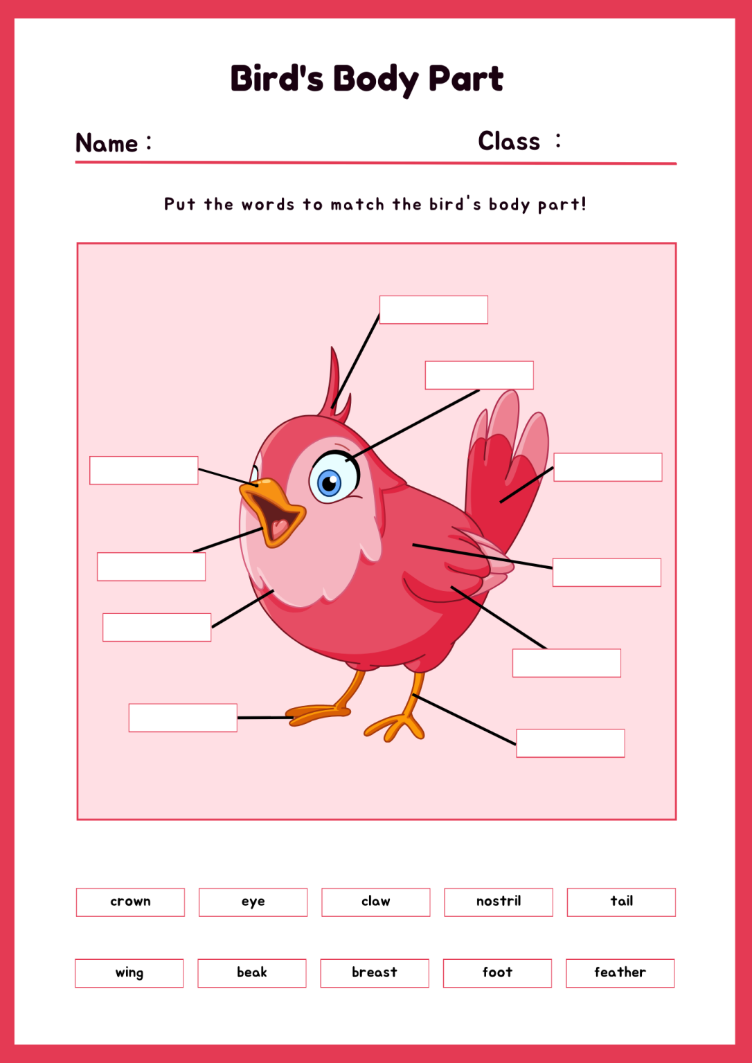 Embark on a Journey of Discovery with Our Free Printable Bird Body ...